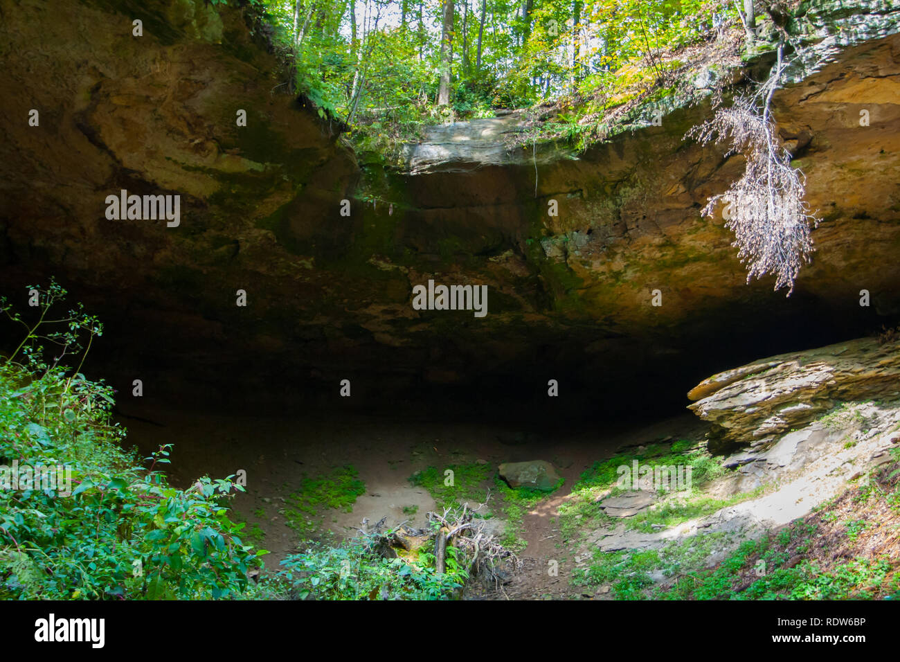 Hosak's Cave, Salt Fork State Park Ohio Stock Photo - Alamy