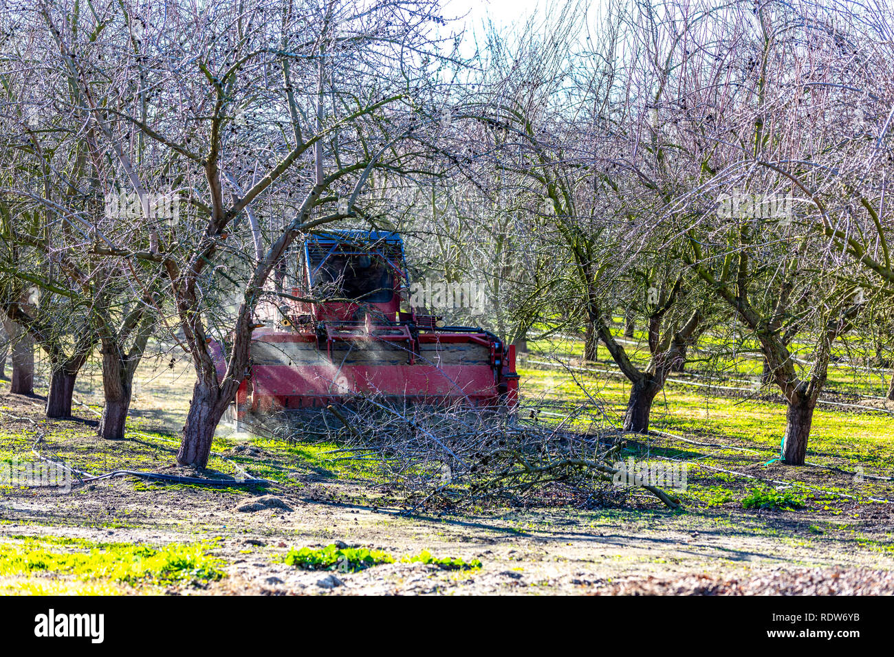 A Flory Pow'RTrak shredder machine that picks up and grinds tree ...