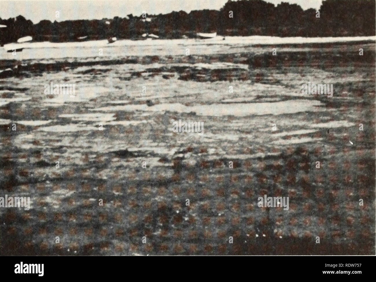 . Ecological study of the Amoco Cadiz oil spill : report of the NOAA ...