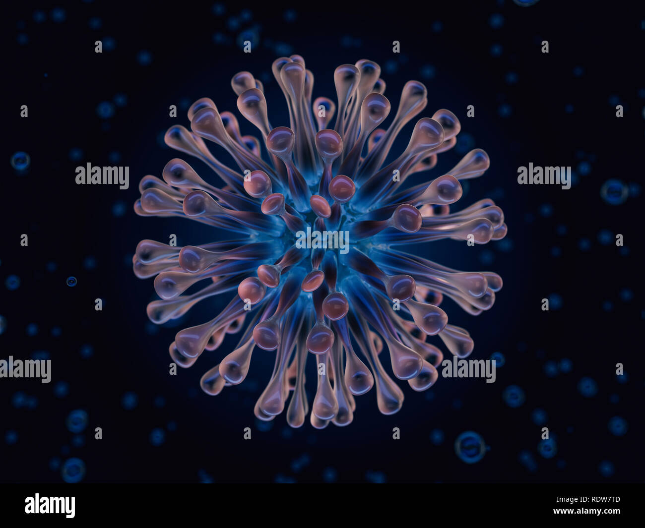 Body bacteria hi-res stock photography and images - Alamy