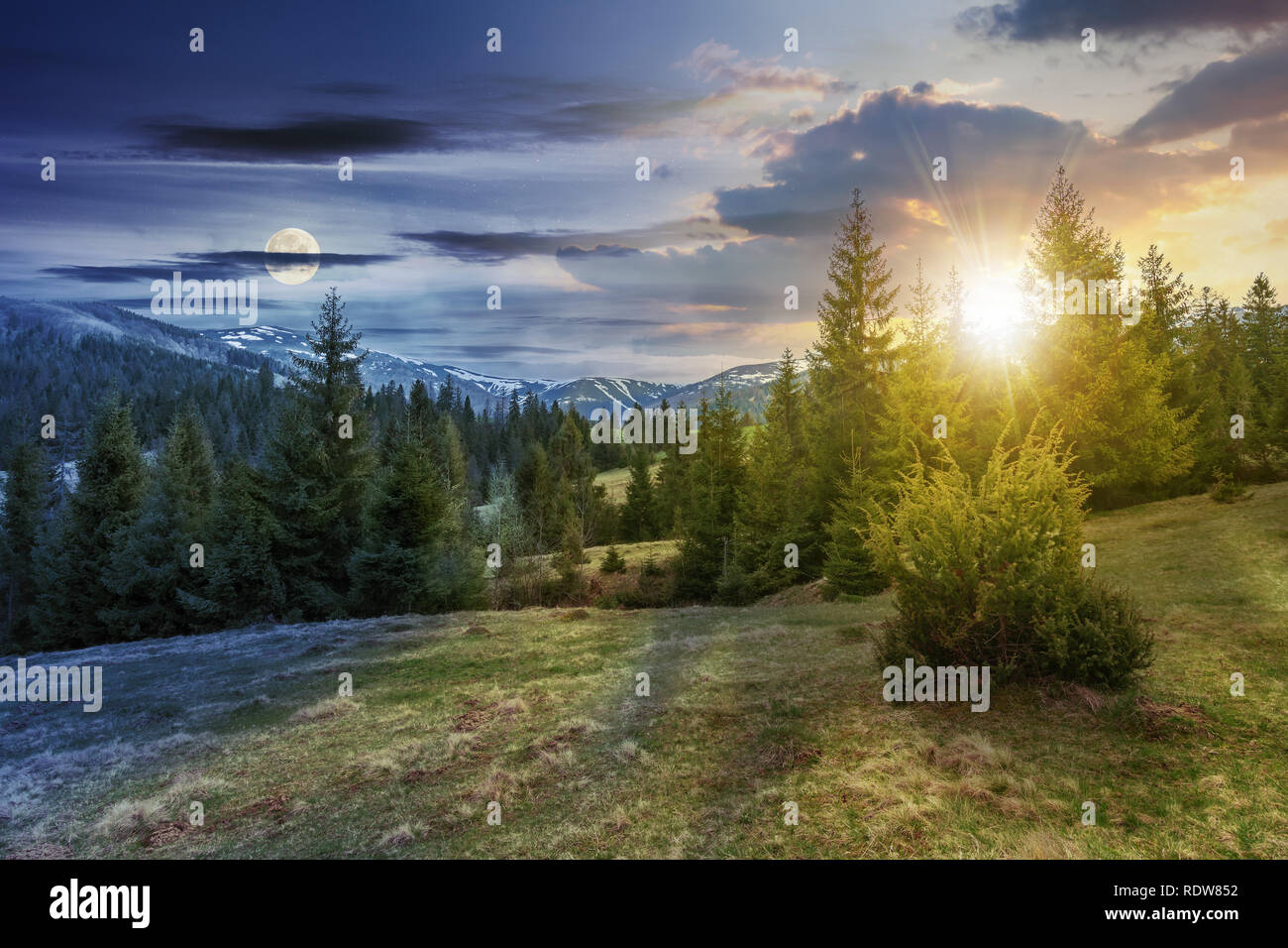 day and night time change concept of beautiful springtime landscape ...