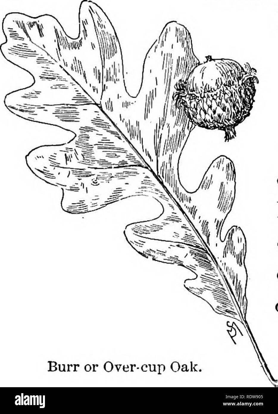 170 feet deep hi-res stock photography and images - Alamy