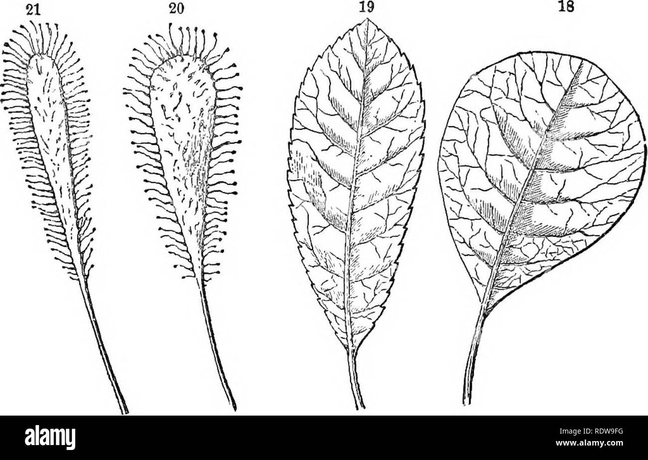 Inverted egg shaped Black and White Stock Photos & Images - Alamy