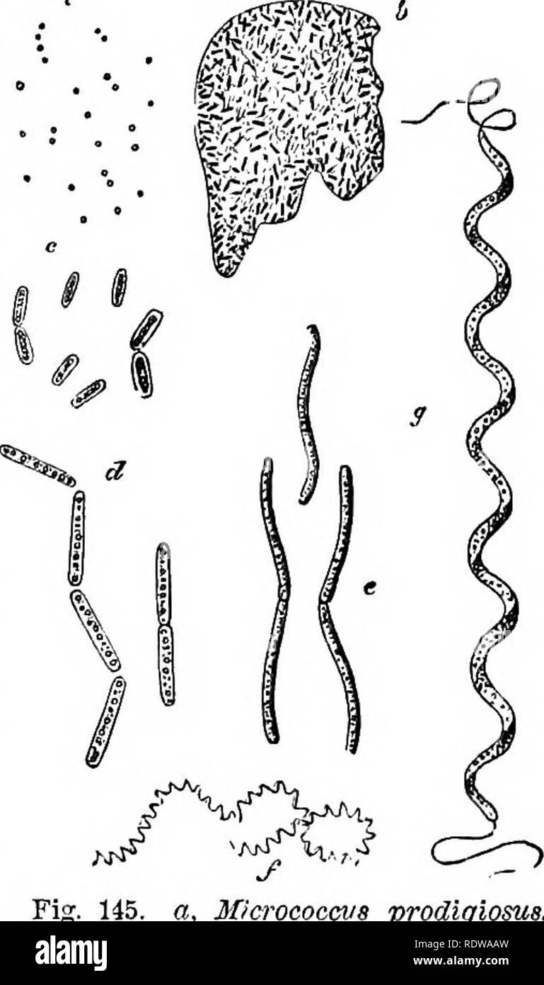 145 m high Black and White Stock Photos & Images - Alamy