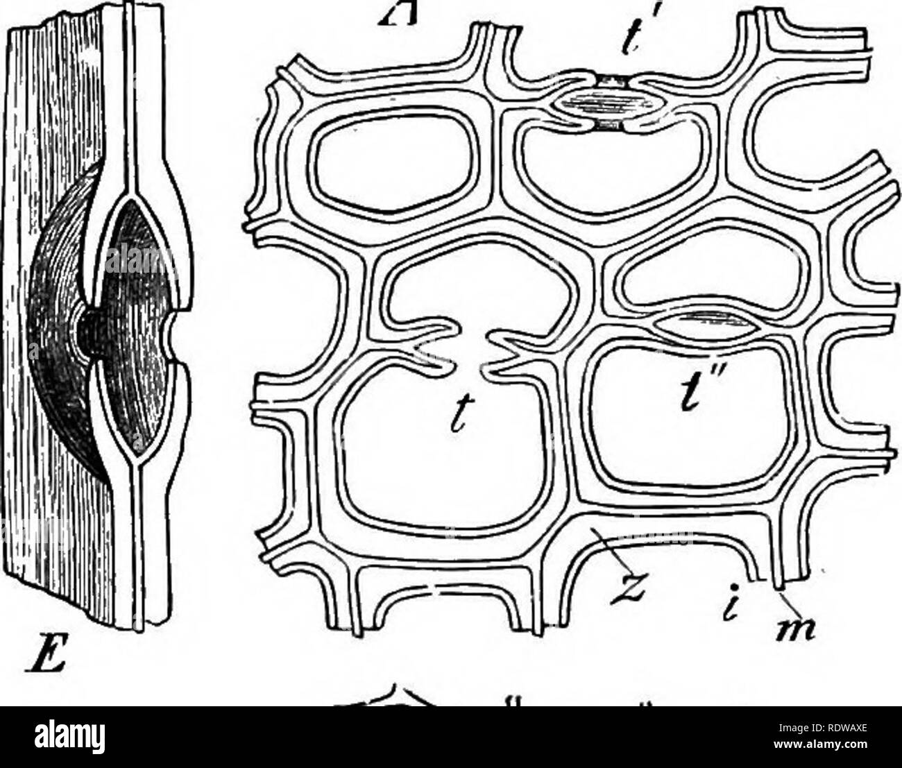 Closing cells Black and White Stock Photos & Images - Alamy