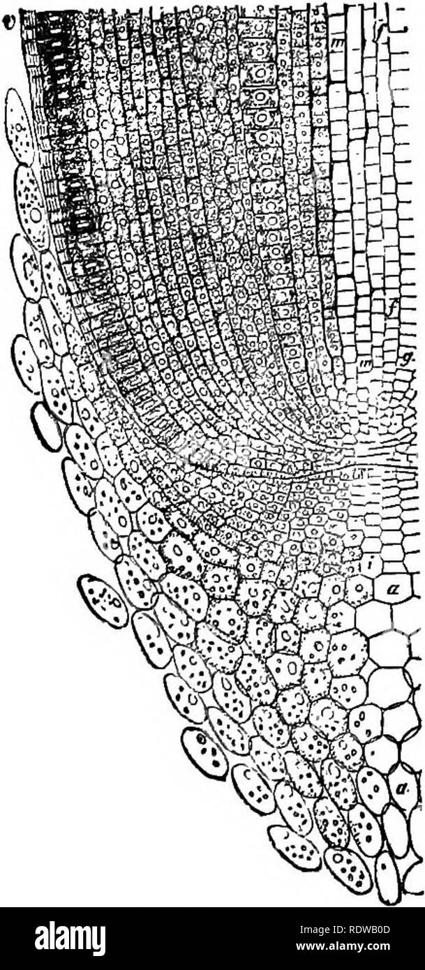 Discover the differences hi-res stock photography and images - Alamy