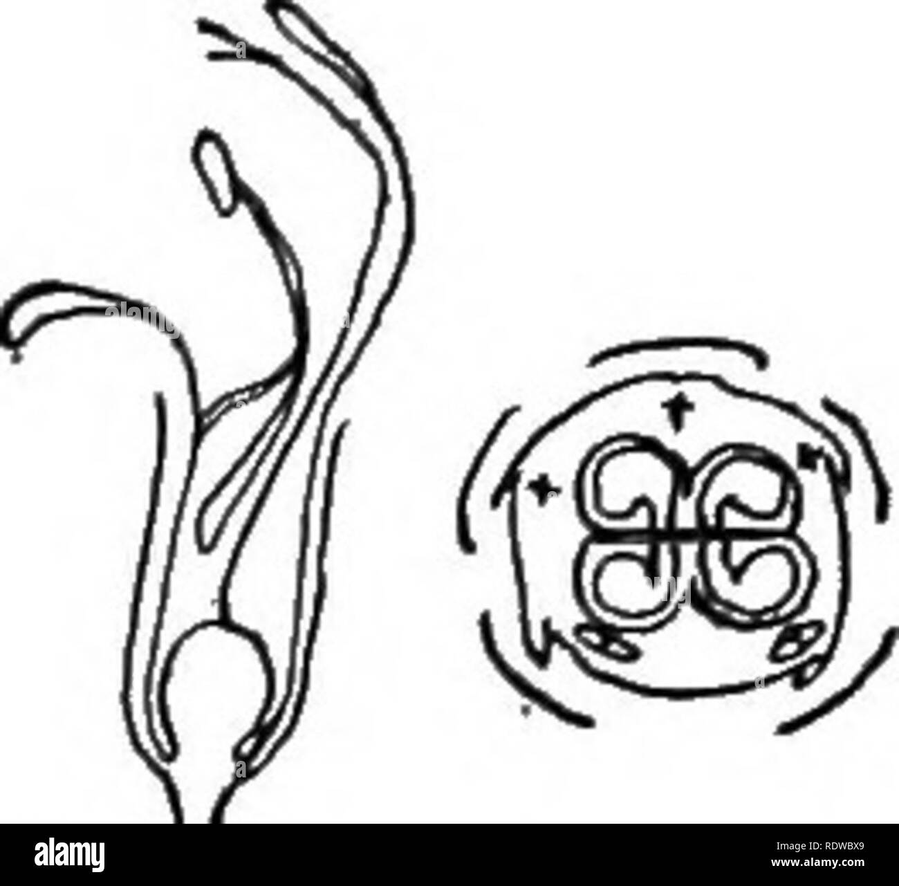 Three axis Cut Out Stock Images & Pictures - Alamy