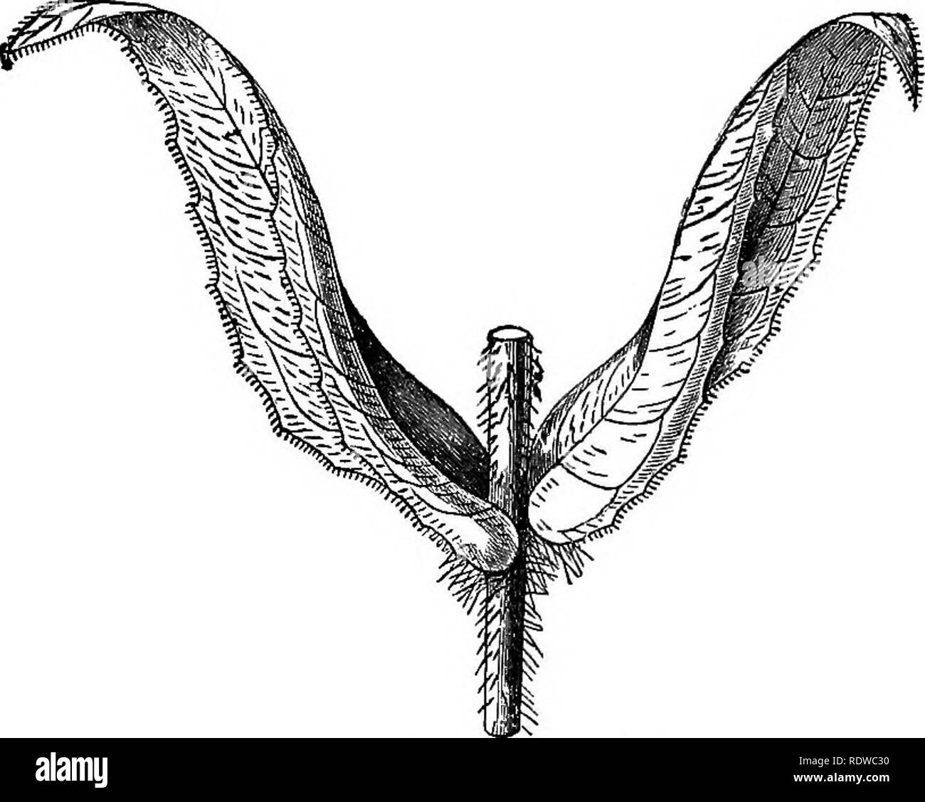 Ker Fruits High Resolution Stock Photography and Images - Alamy