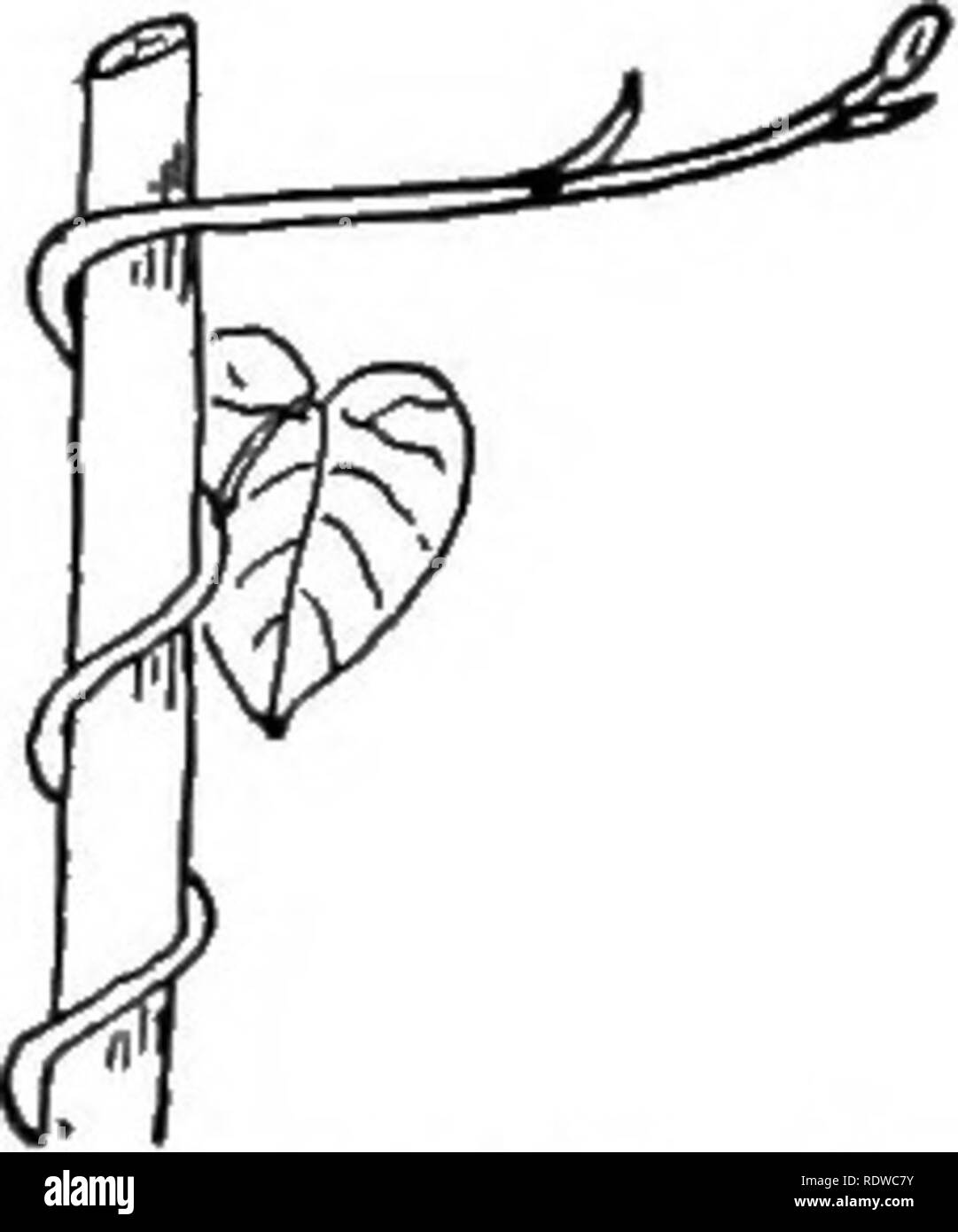 Autono Black and White Stock Photos & Images - Alamy