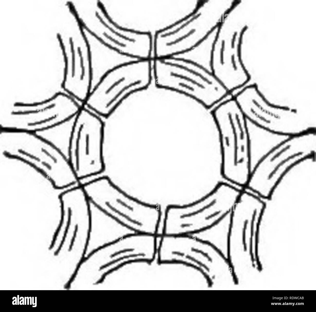 Old becomes new Cut Out Stock Images & Pictures - Alamy