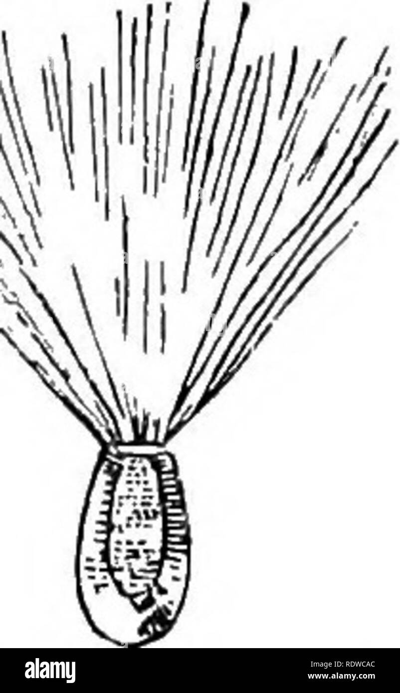 Gboss High Resolution Stock Photography and Images - Alamy