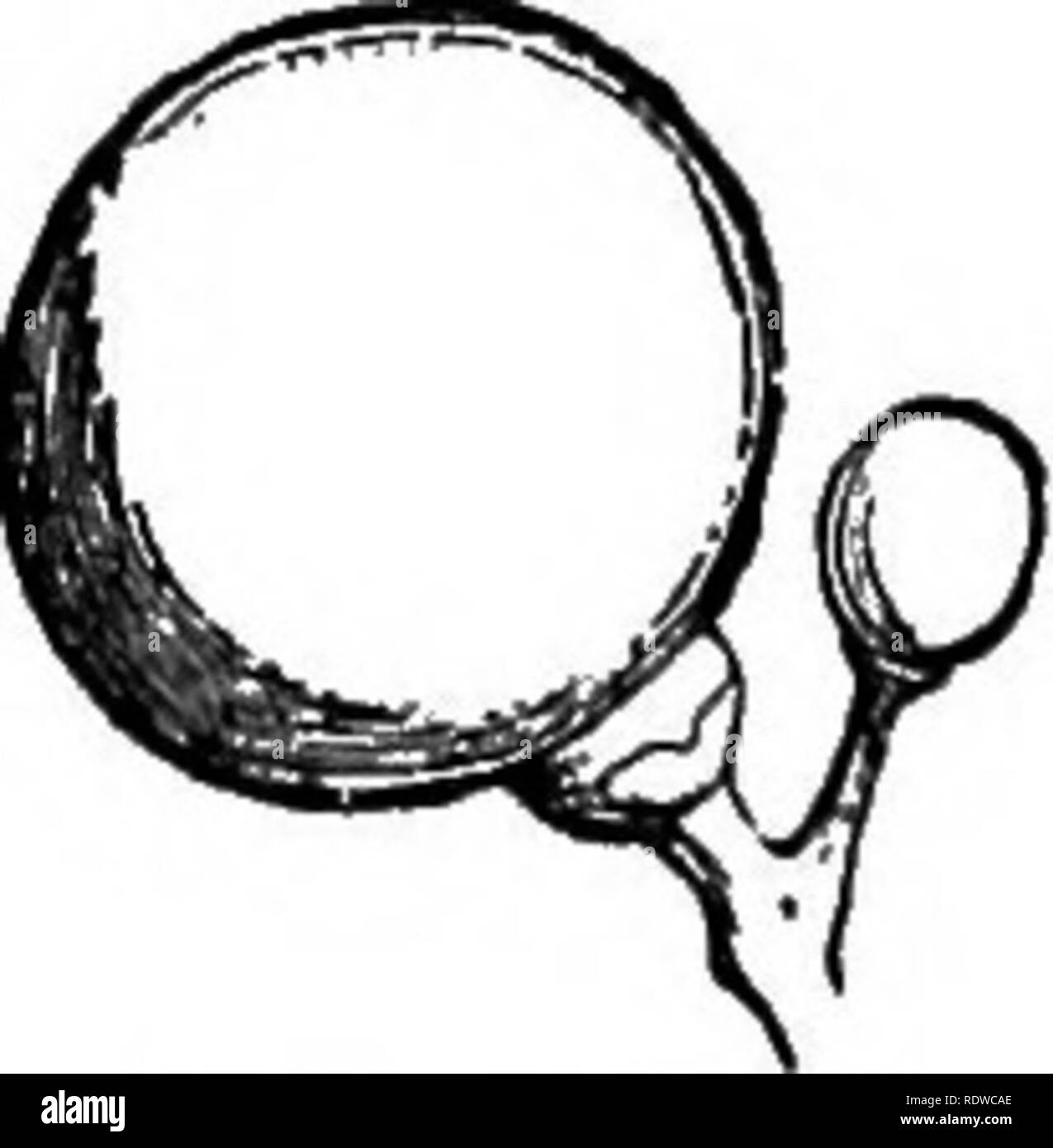 Double samara Black and White Stock Photos & Images - Alamy