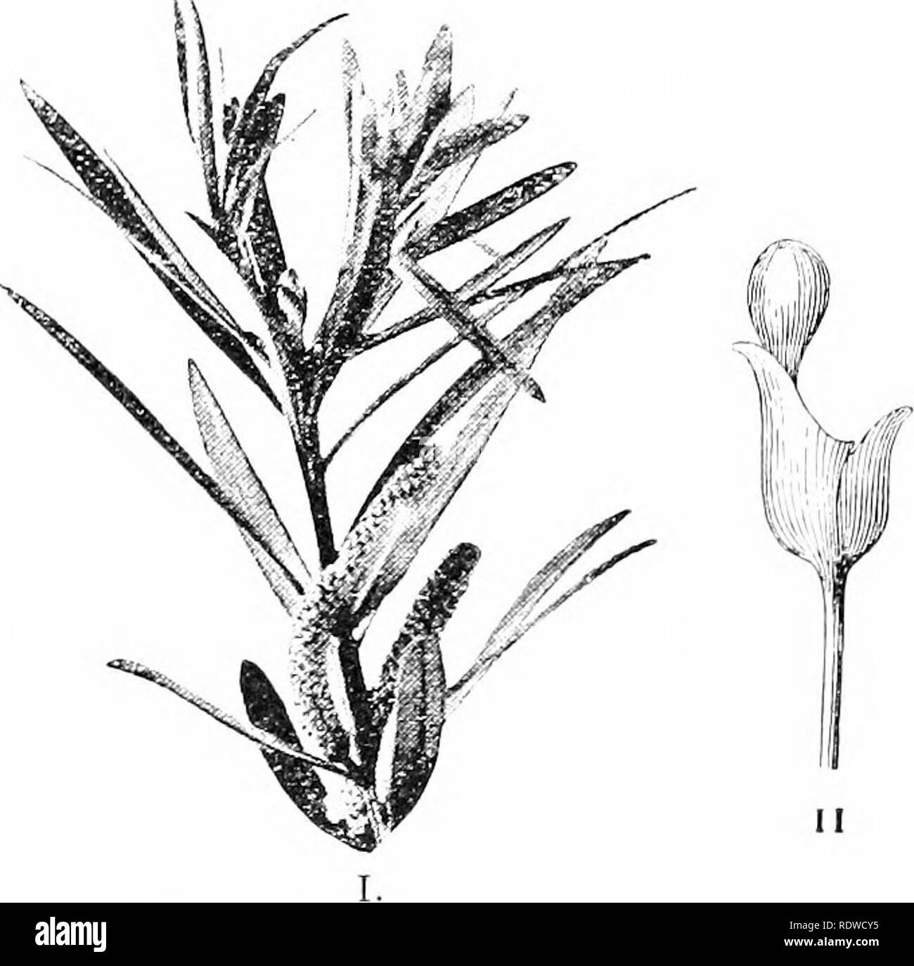 Lher Cut Out Stock Images & Pictures - Alamy