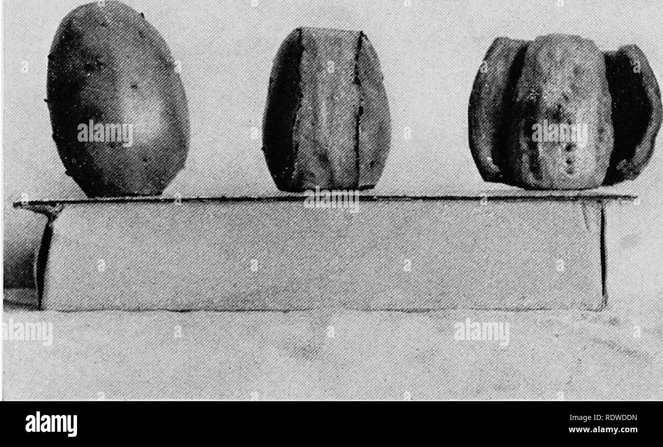 Fibrous pulp Black and White Stock Photos & Images - Alamy