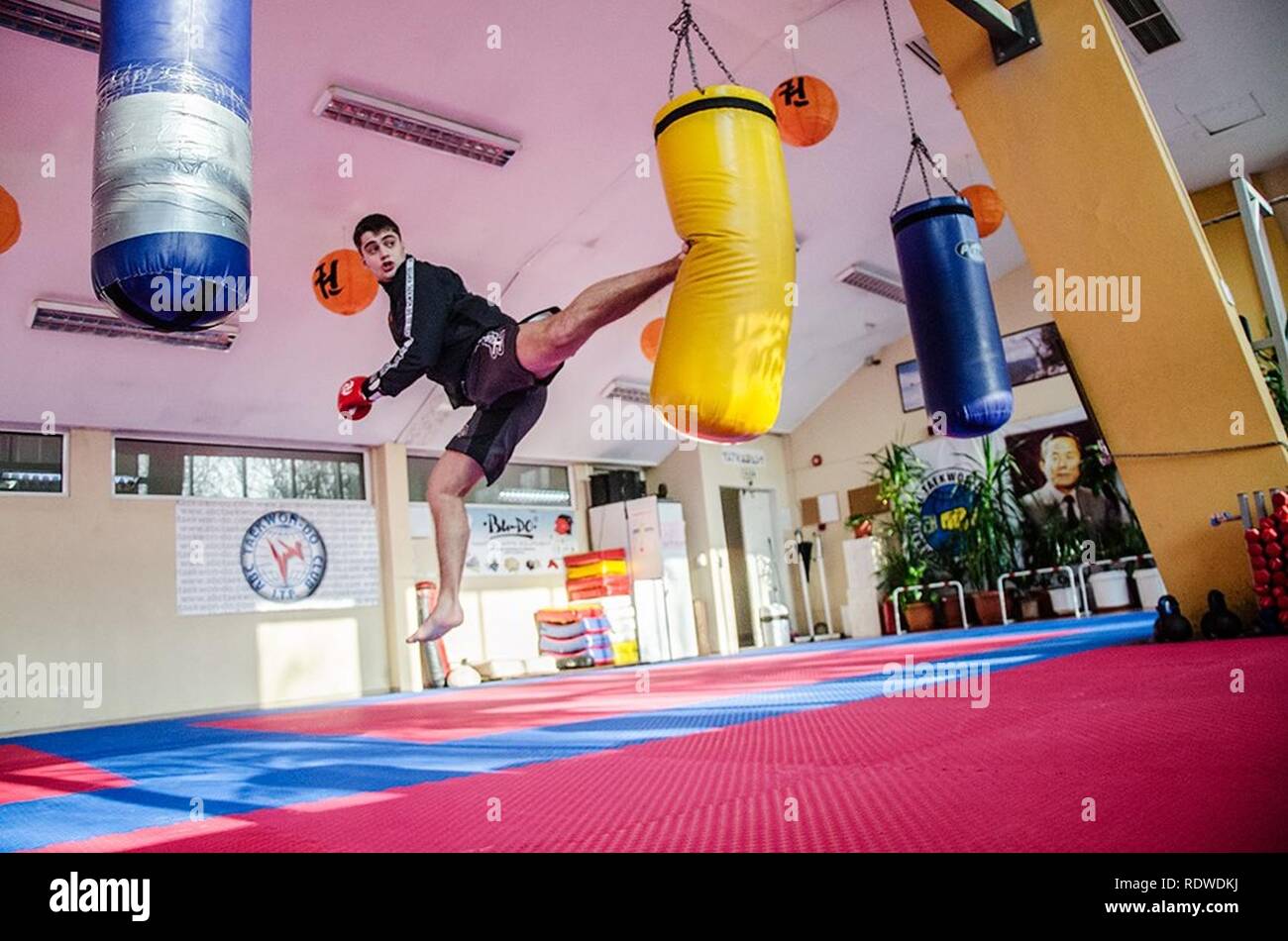 Davidov hi-res stock photography and images - Alamy