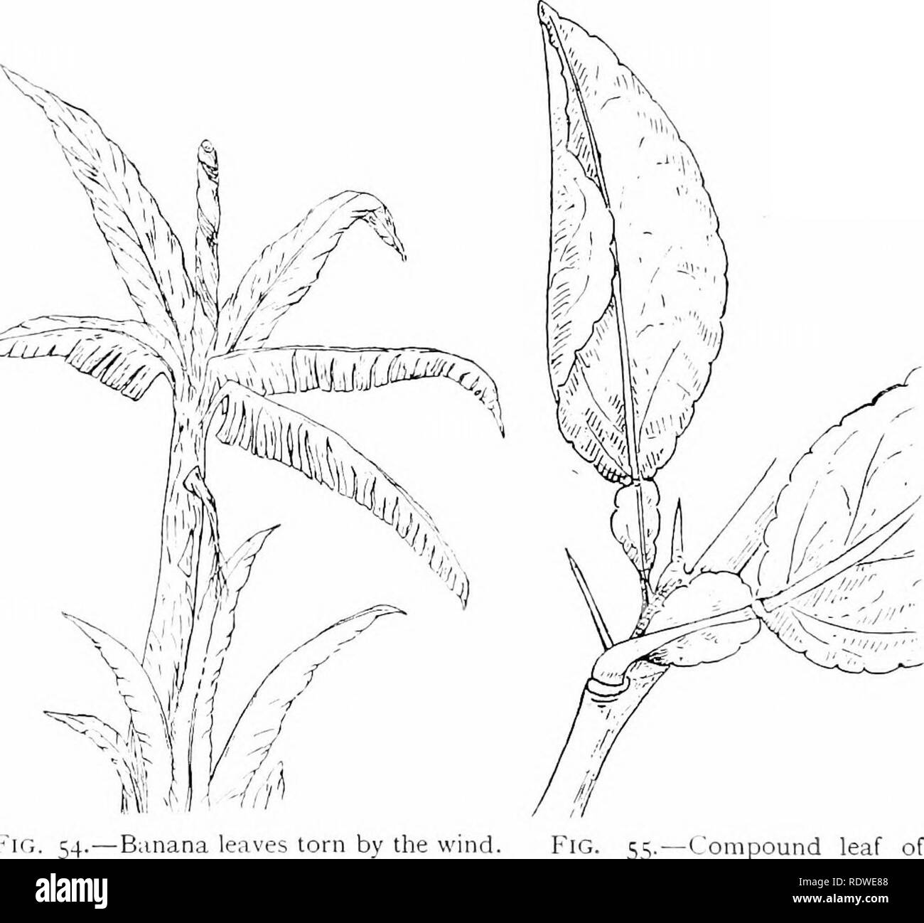 Notched margins Black and White Stock Photos & Images - Alamy