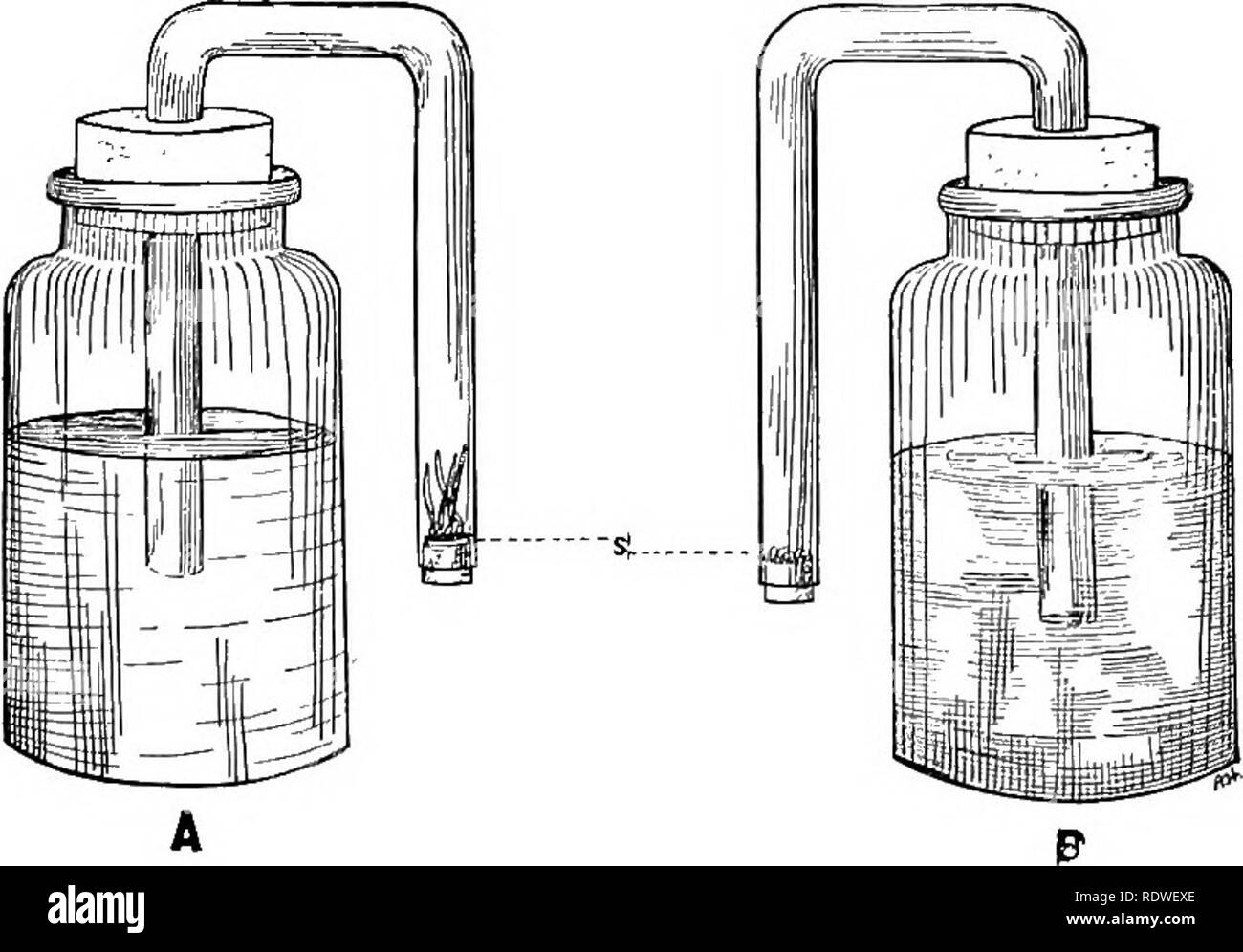Minator hi-res stock photography and images - Alamy