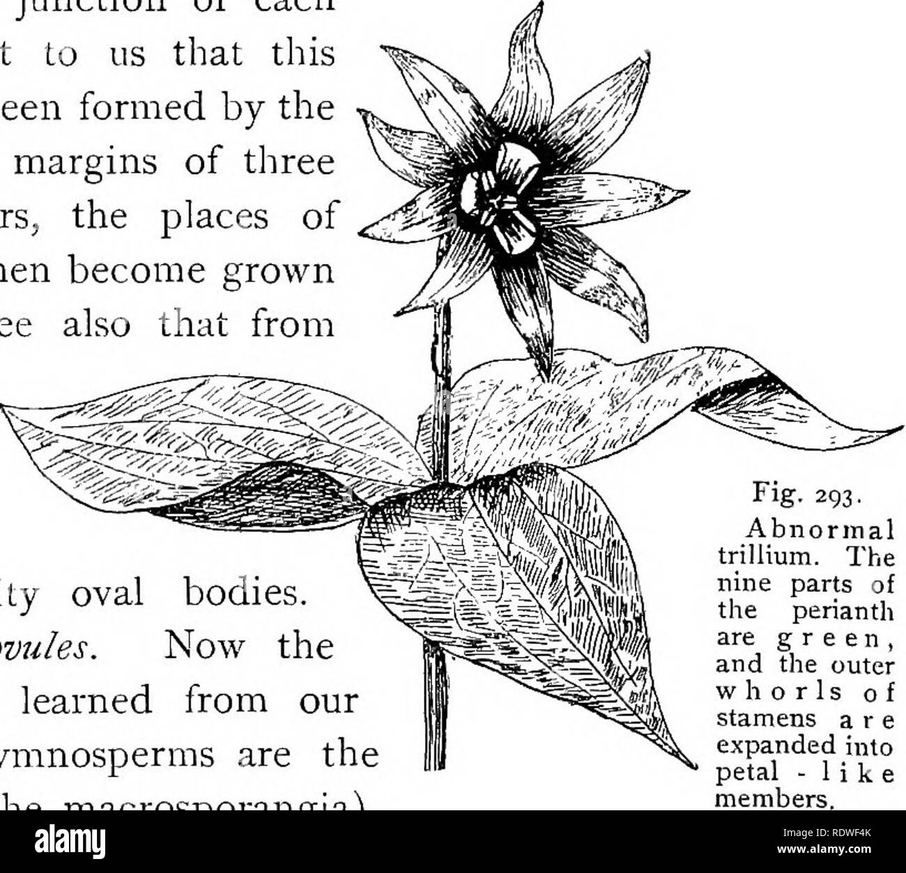 Infolding hi-res stock photography and images - Alamy