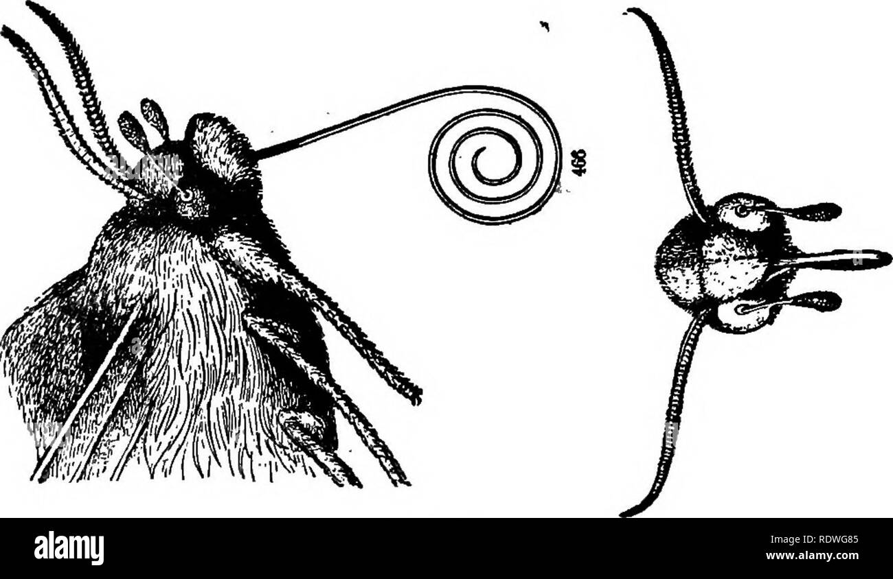 Fertilization mechanism Black and White Stock Photos & Images - Alamy
