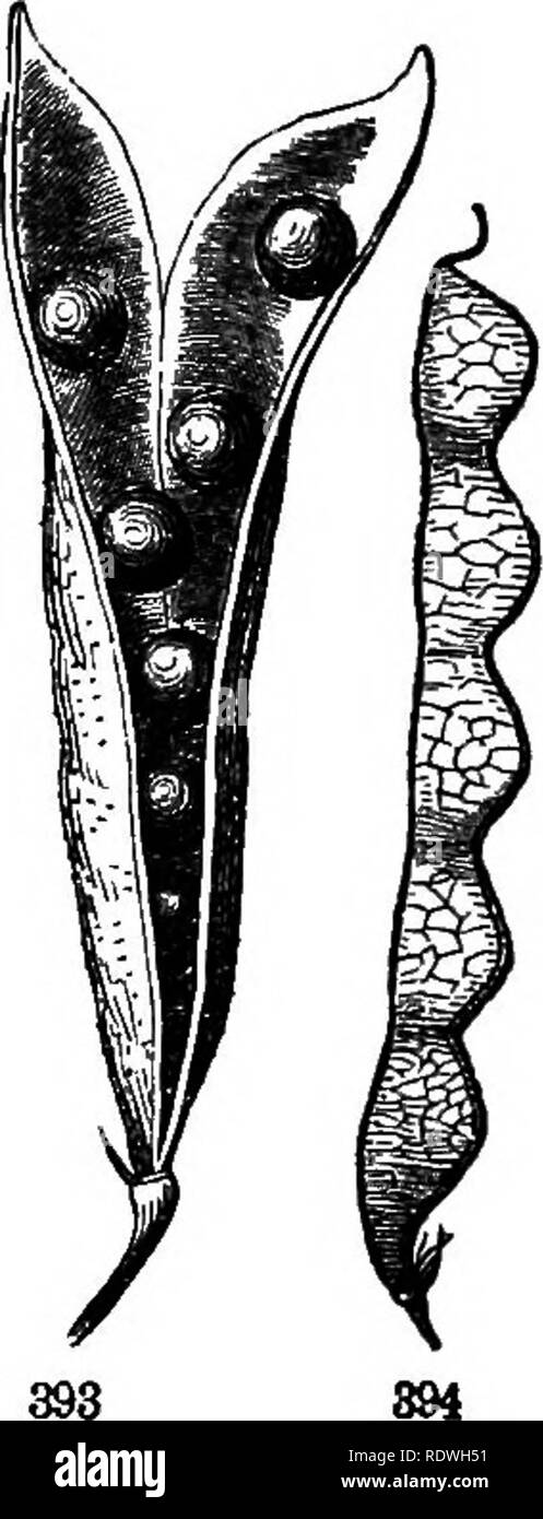 Technical valves book Black and White Stock Photos & Images - Alamy