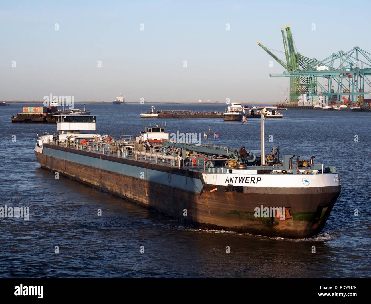 Antwerp (ship,2005) ENI 02327111 Port of Antwerp pic4 Stock Photo - Alamy