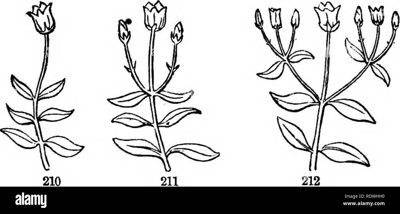 Grays terminal Cut Out Stock Images & Pictures - Alamy