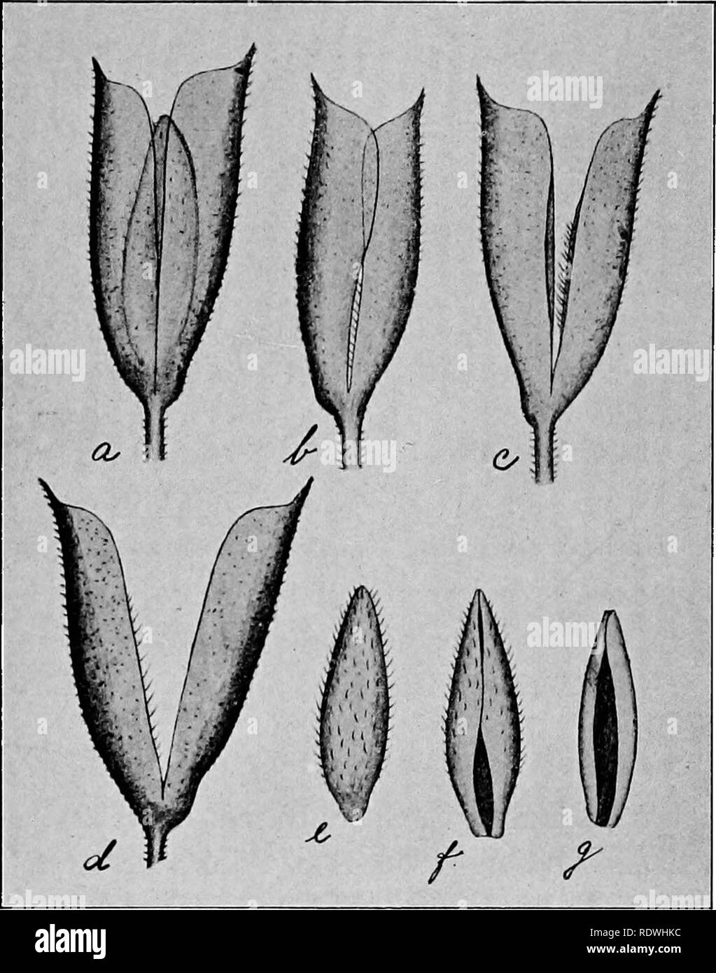 Seen from the steppes Black and White Stock Photos & Images - Alamy