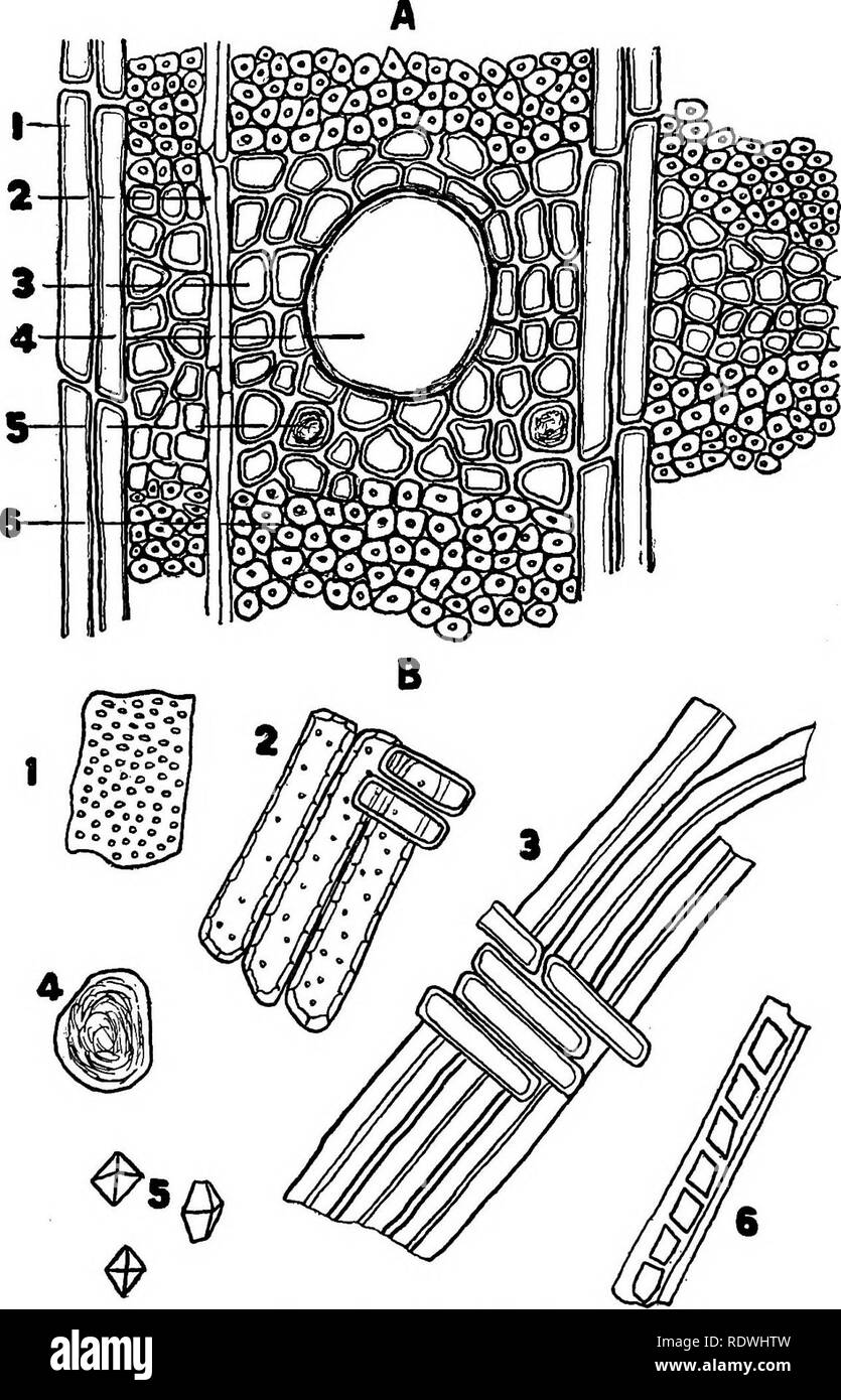 Pitted plate Black and White Stock Photos & Images - Alamy