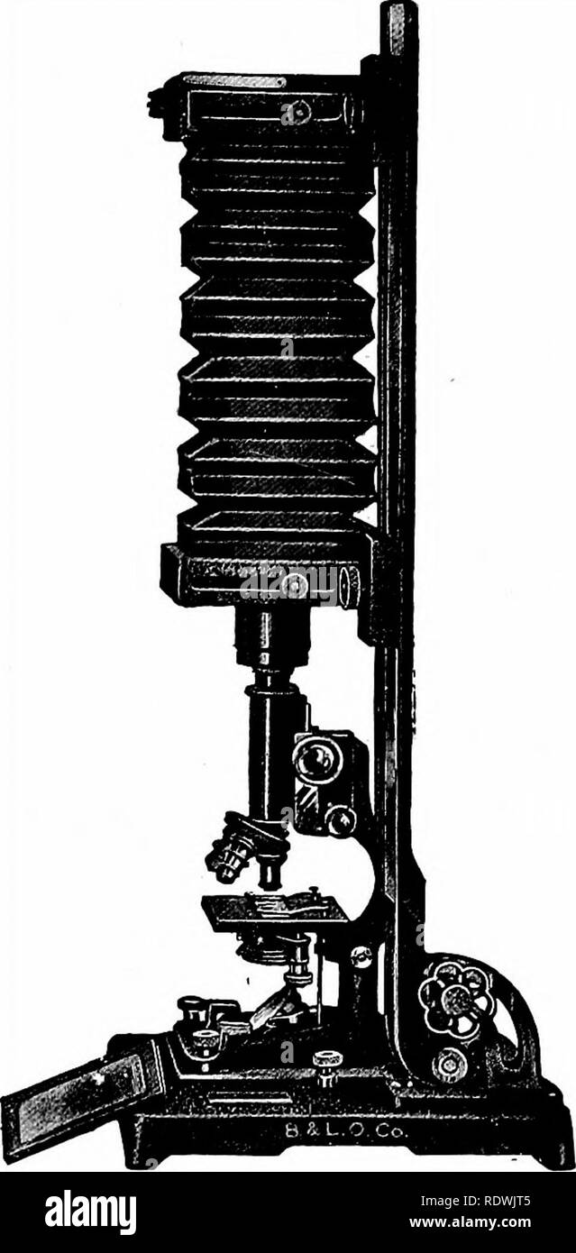How to draw different parts of a plant hi-res stock photography and ...