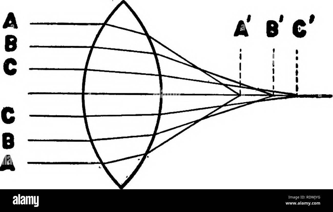 . The elements of vegetable histology. Plant anatomy. B' Fig. 12 ...