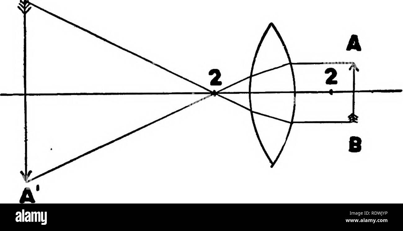 . The elements of vegetable histology. Plant anatomy. 28 THE ELEMENTS ...