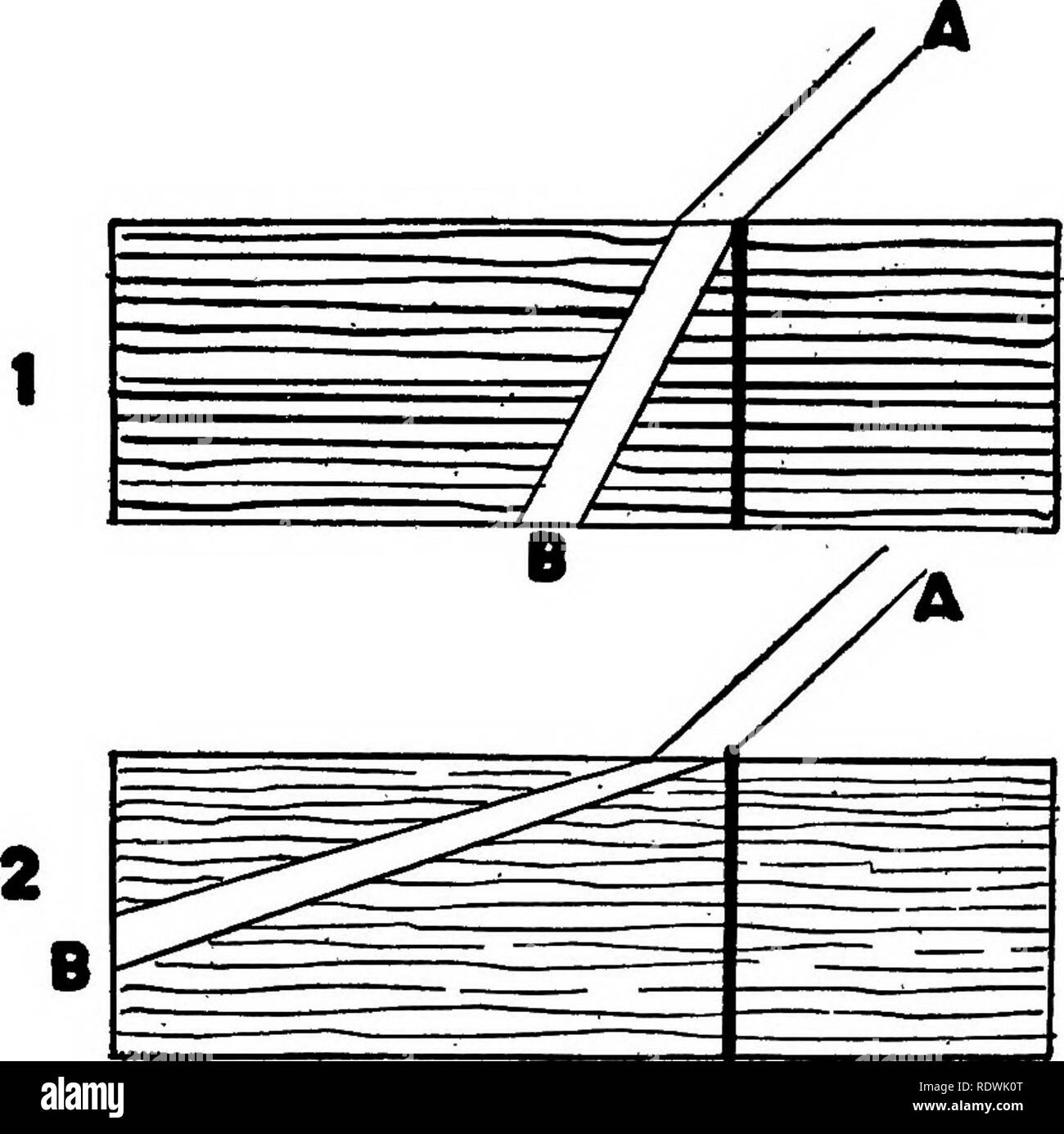 . The elements of vegetable histology. Plant anatomy. THE MICROSCOPE 25 ...