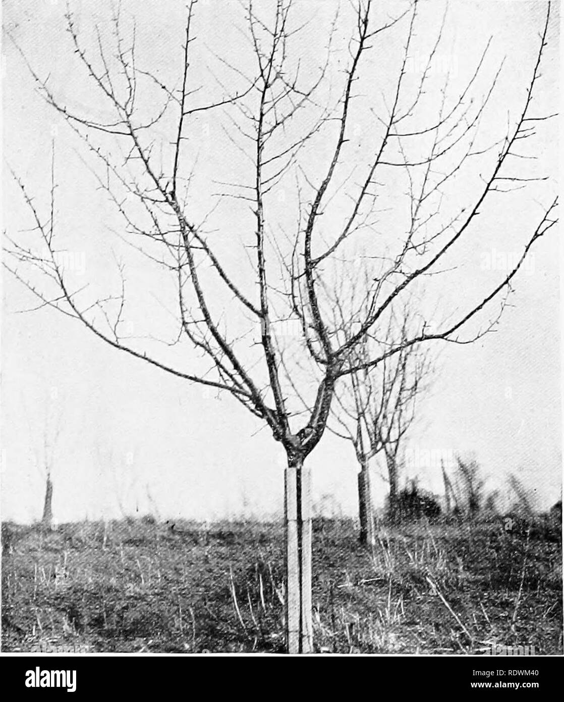 Leave less trees hi-res stock photography and images - Alamy