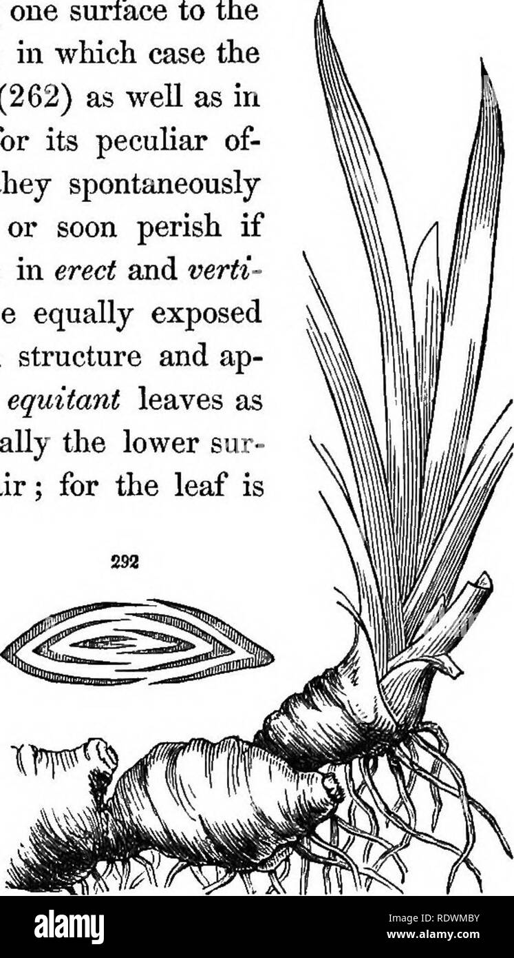 Decompound hi-res stock photography and images - Alamy