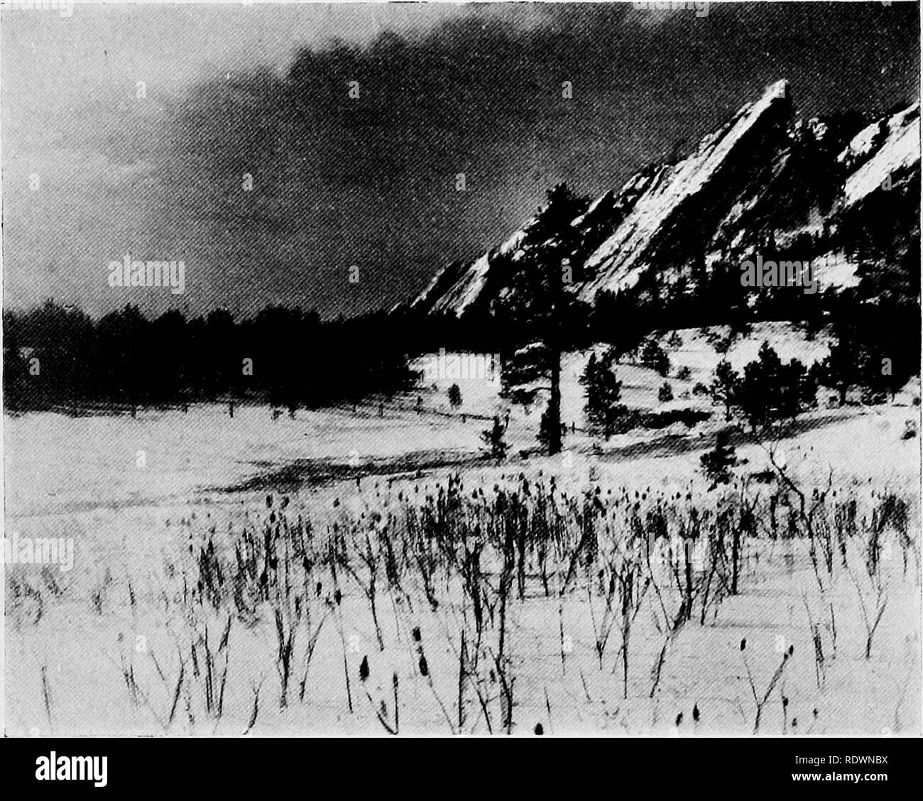 Alpine zone Black and White Stock Photos & Images - Alamy