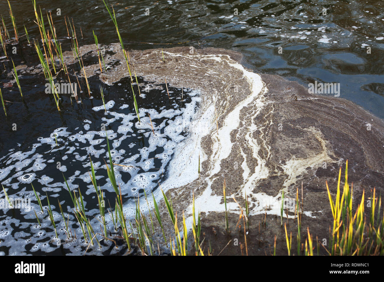 Water Pollution High Resolution Stock Photography and Images - Alamy