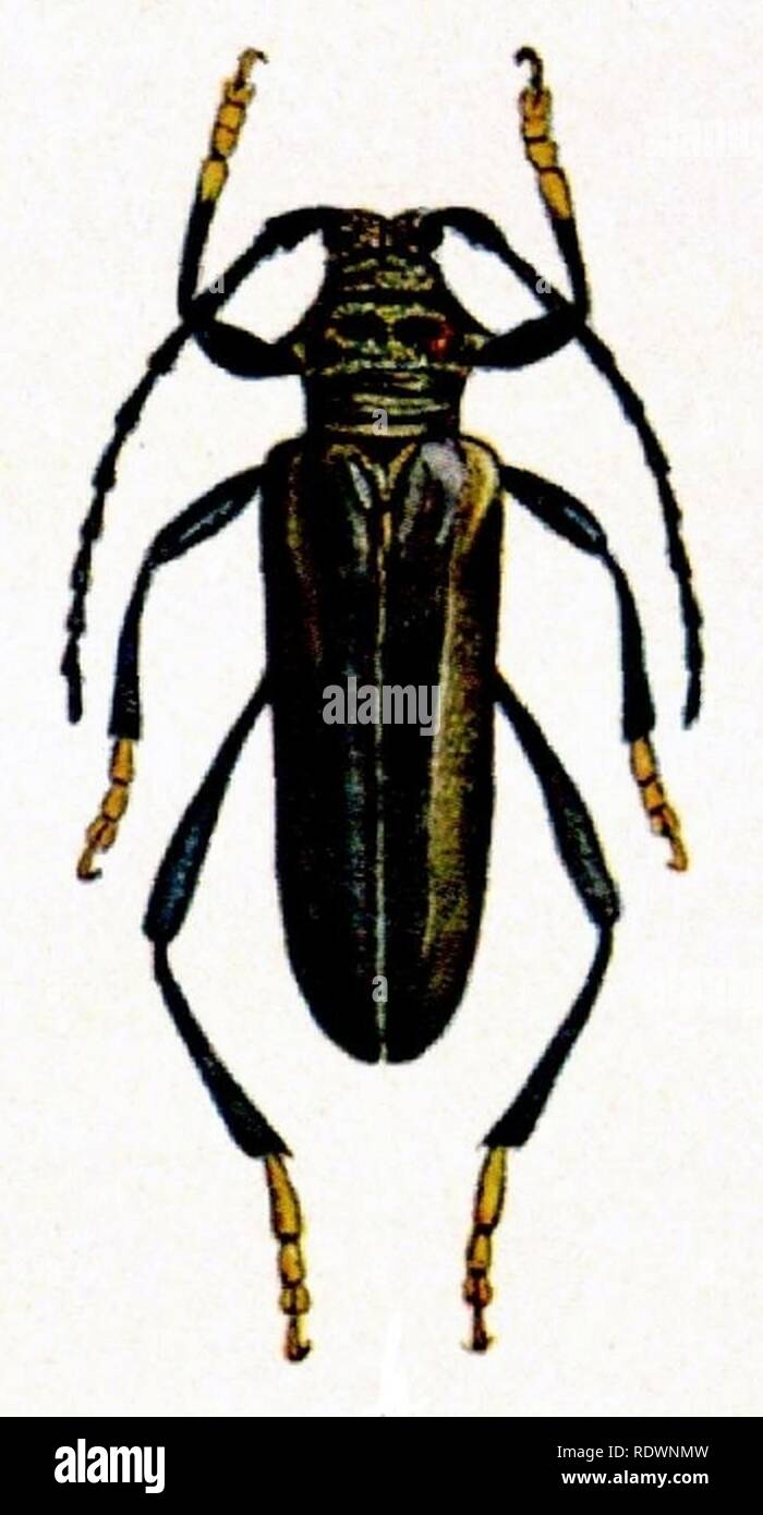 Aphrodisium hi-res stock photography and images - Alamy