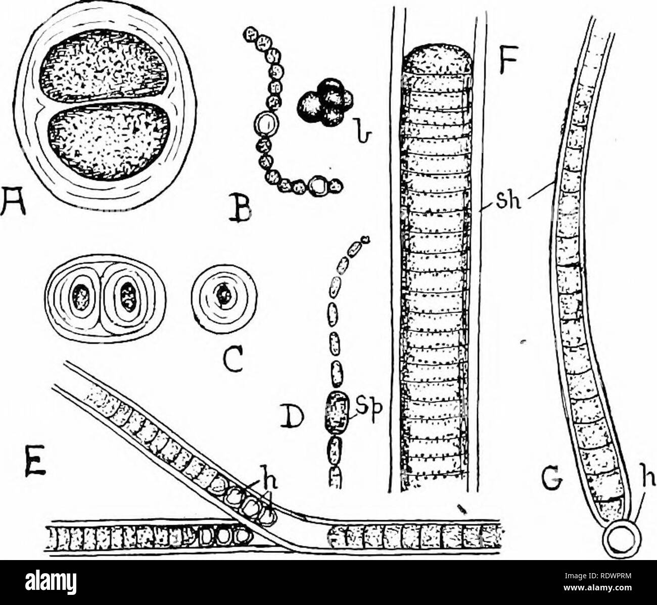 . An introduction to the structure and reproduction of plants. Plant ...