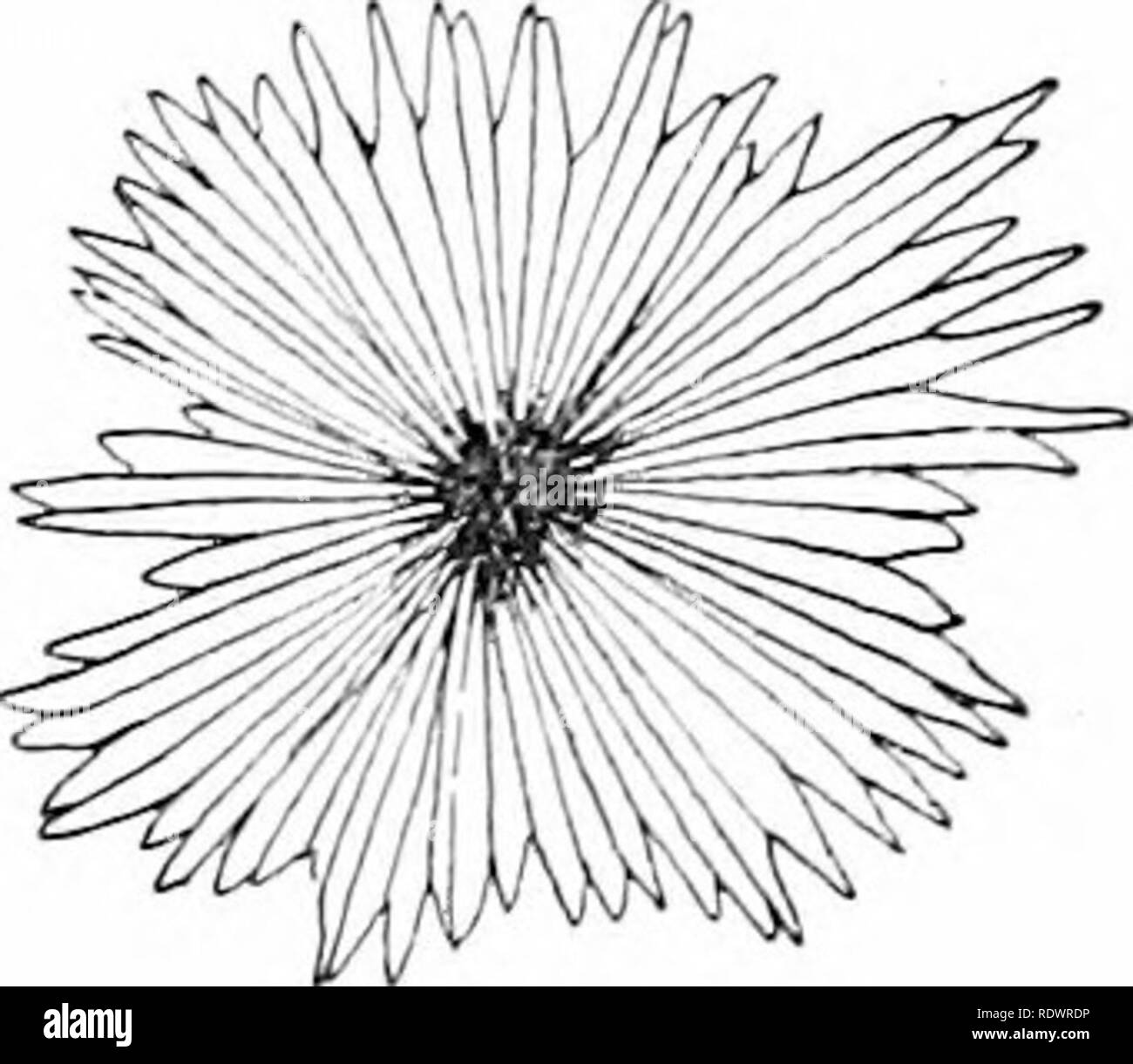 . An introduction to the structure and reproduction of plants. Plant ...