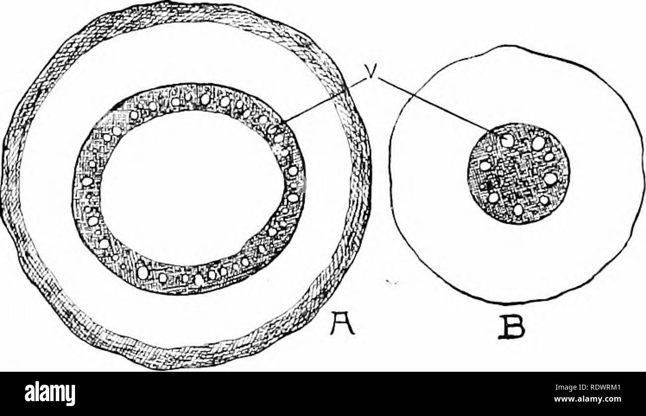 Velamen hi-res stock photography and images - Alamy