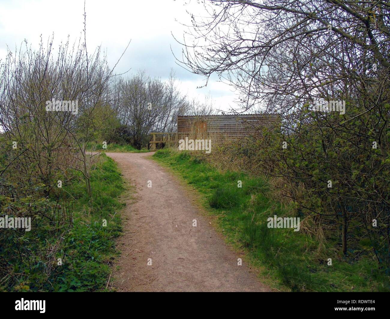 Approaching Bird Hide from Woodland Trail at Newport Wetlands RSPB ...