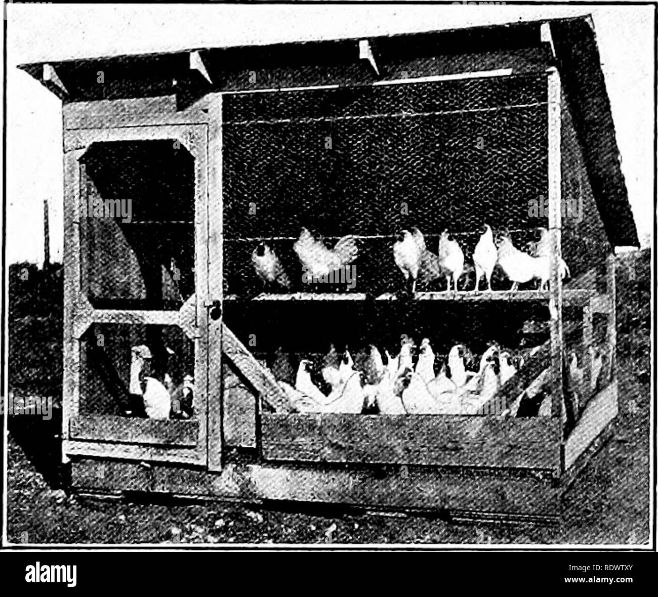 . Poultry production. Poultry. HOUSING AND HYGIENE 293 The combination ...