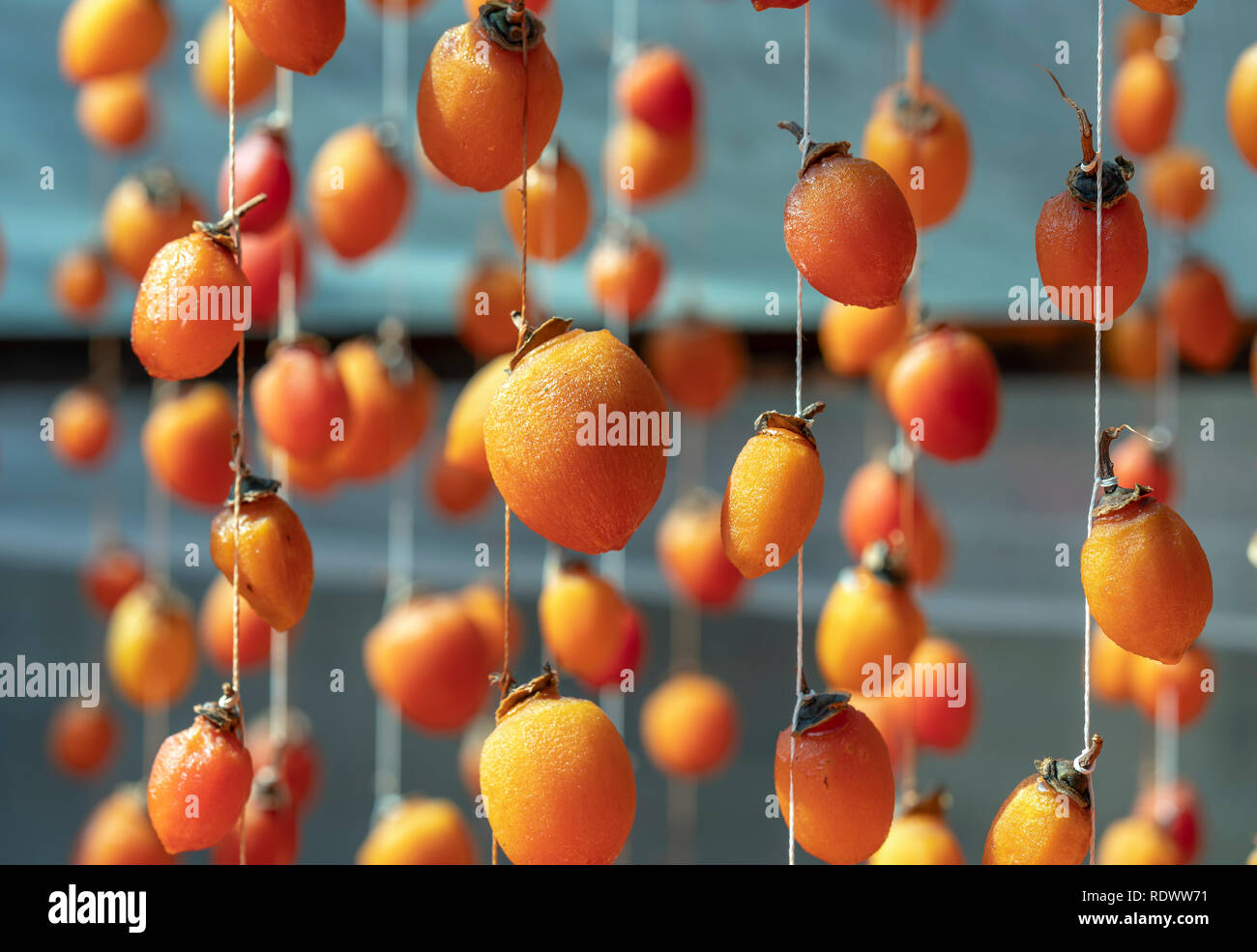 Dried persimmon is dried according to traditional Japanese technology ...