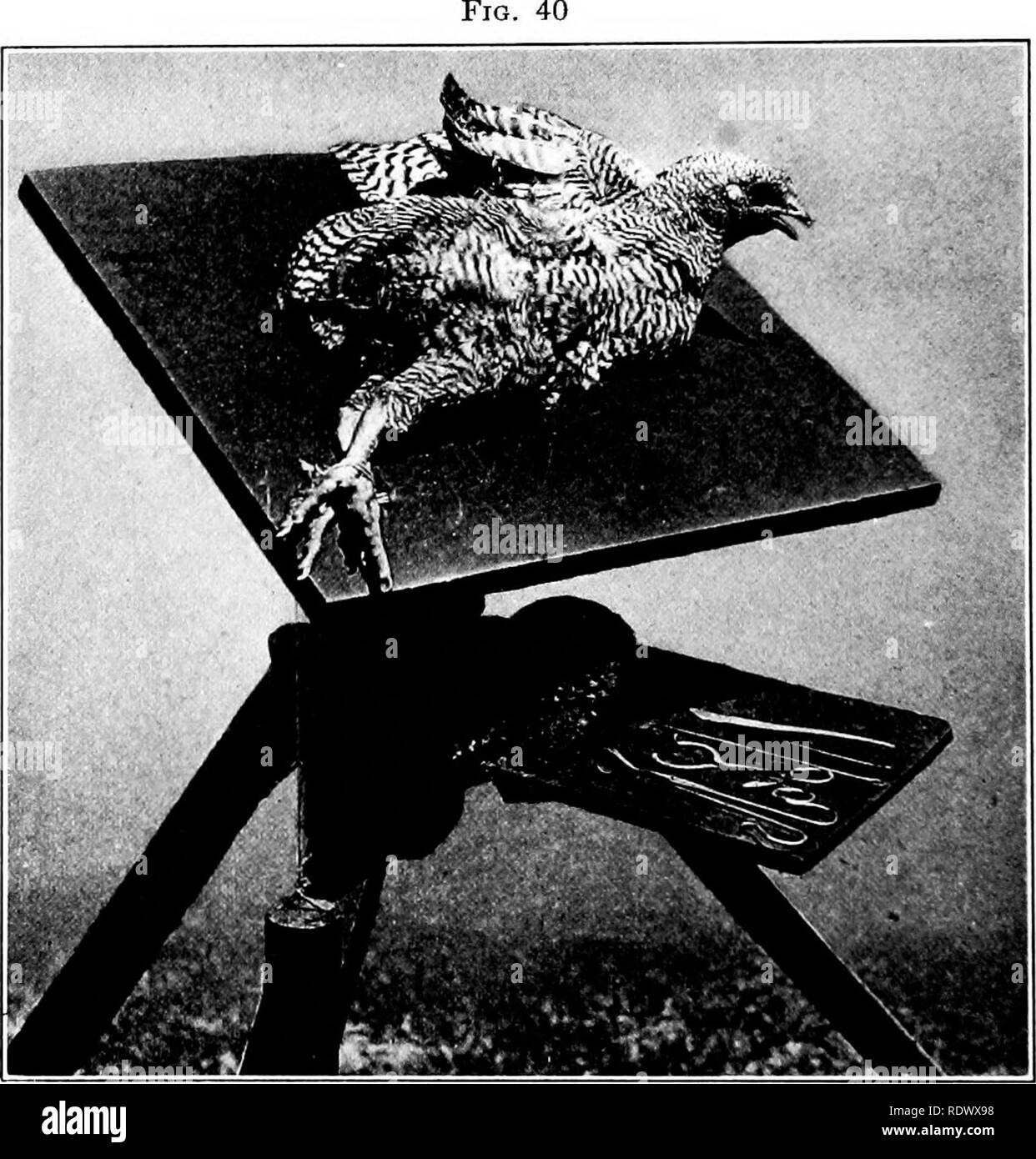 Probe incision Black and White Stock Photos & Images - Alamy