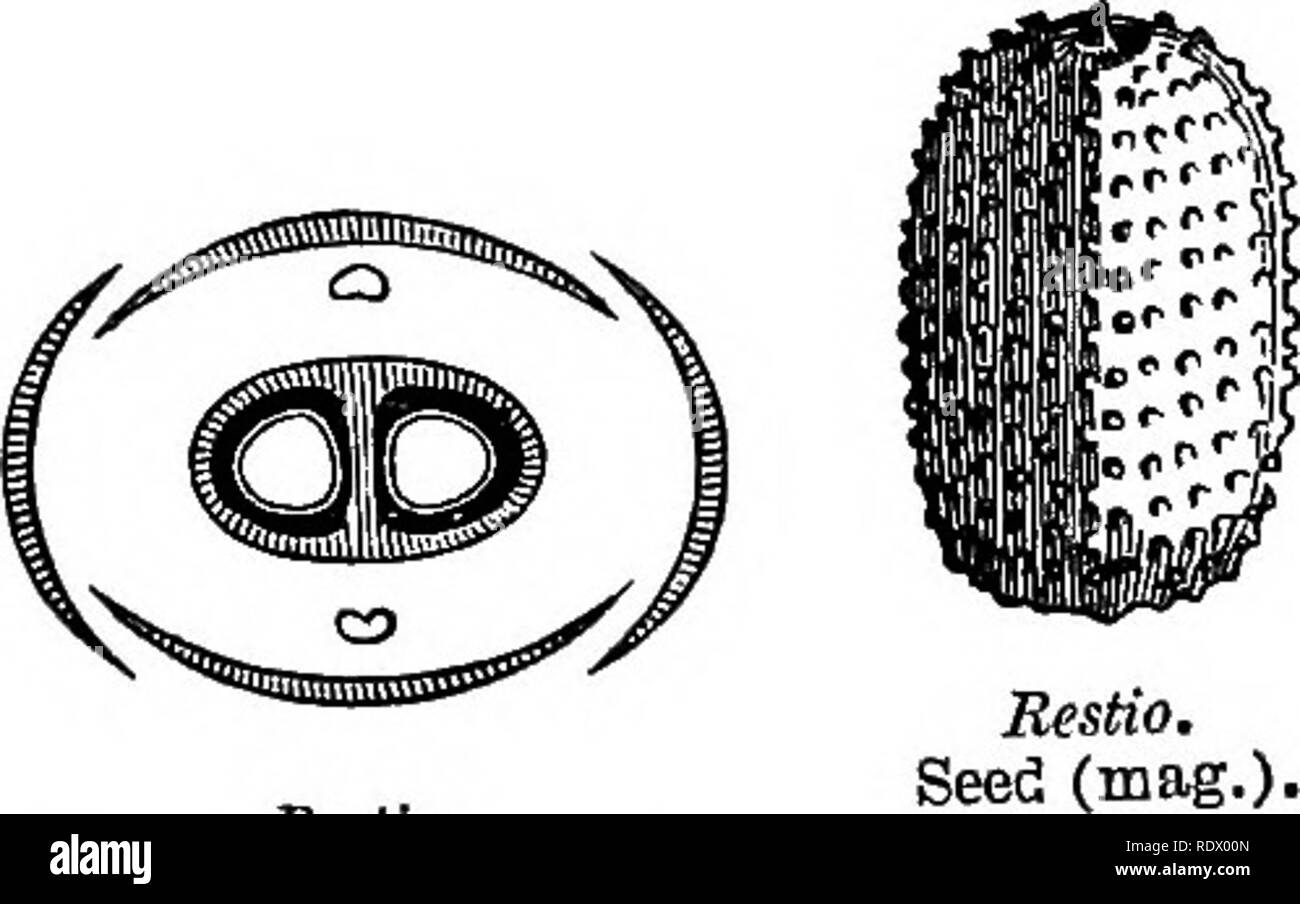 Restio Black and White Stock Photos & Images - Alamy