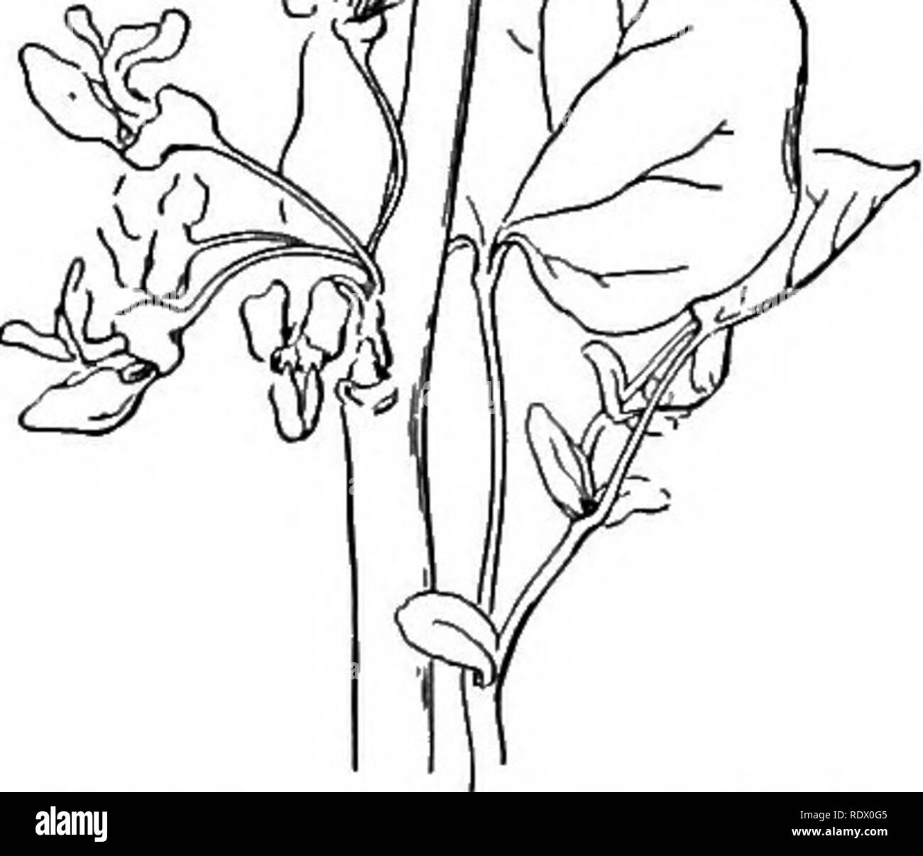 Pulse forming Black and White Stock Photos & Images - Alamy