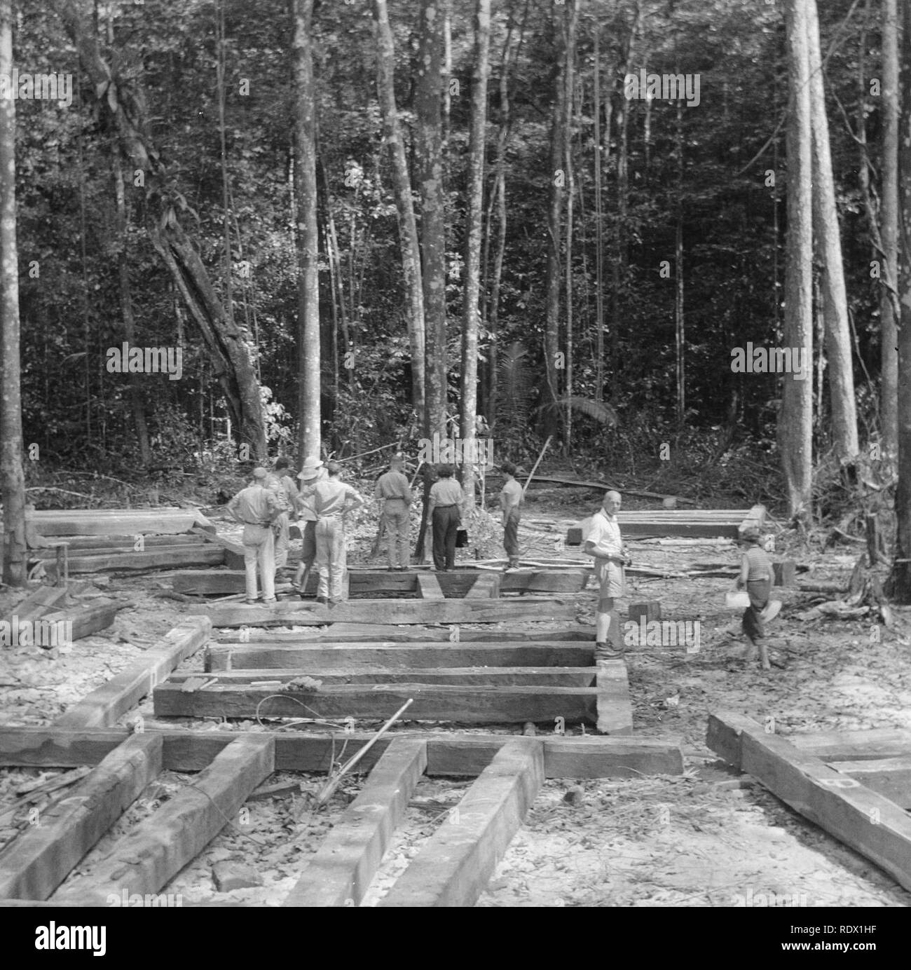 Arbeiders, bomen, palen, Bestanddeelnr 250-8490 Stock Photo - Alamy