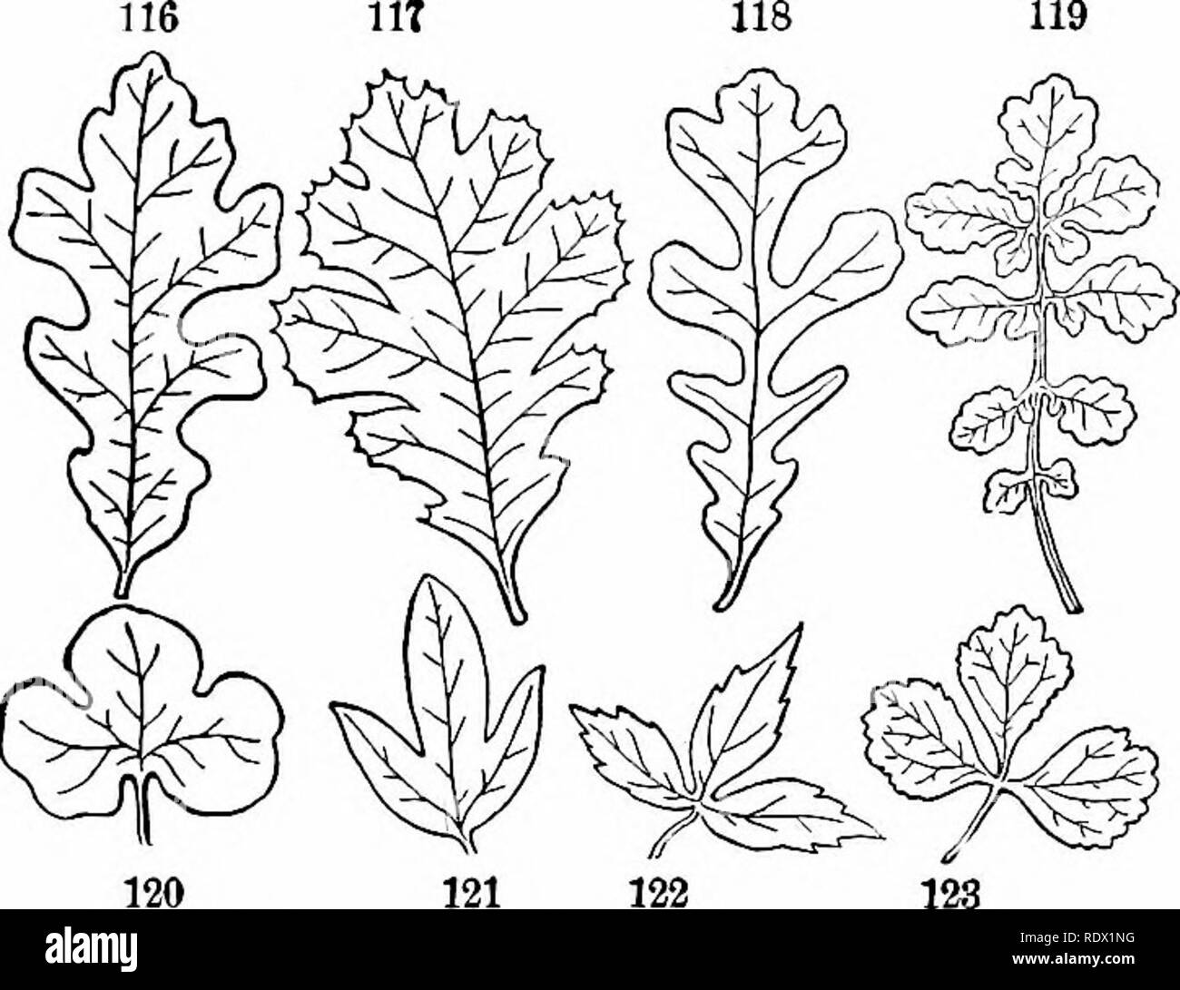 Jagged outlines Cut Out Stock Images & Pictures - Alamy