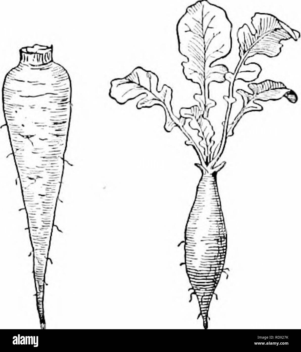 Former outlines Black and White Stock Photos & Images - Alamy