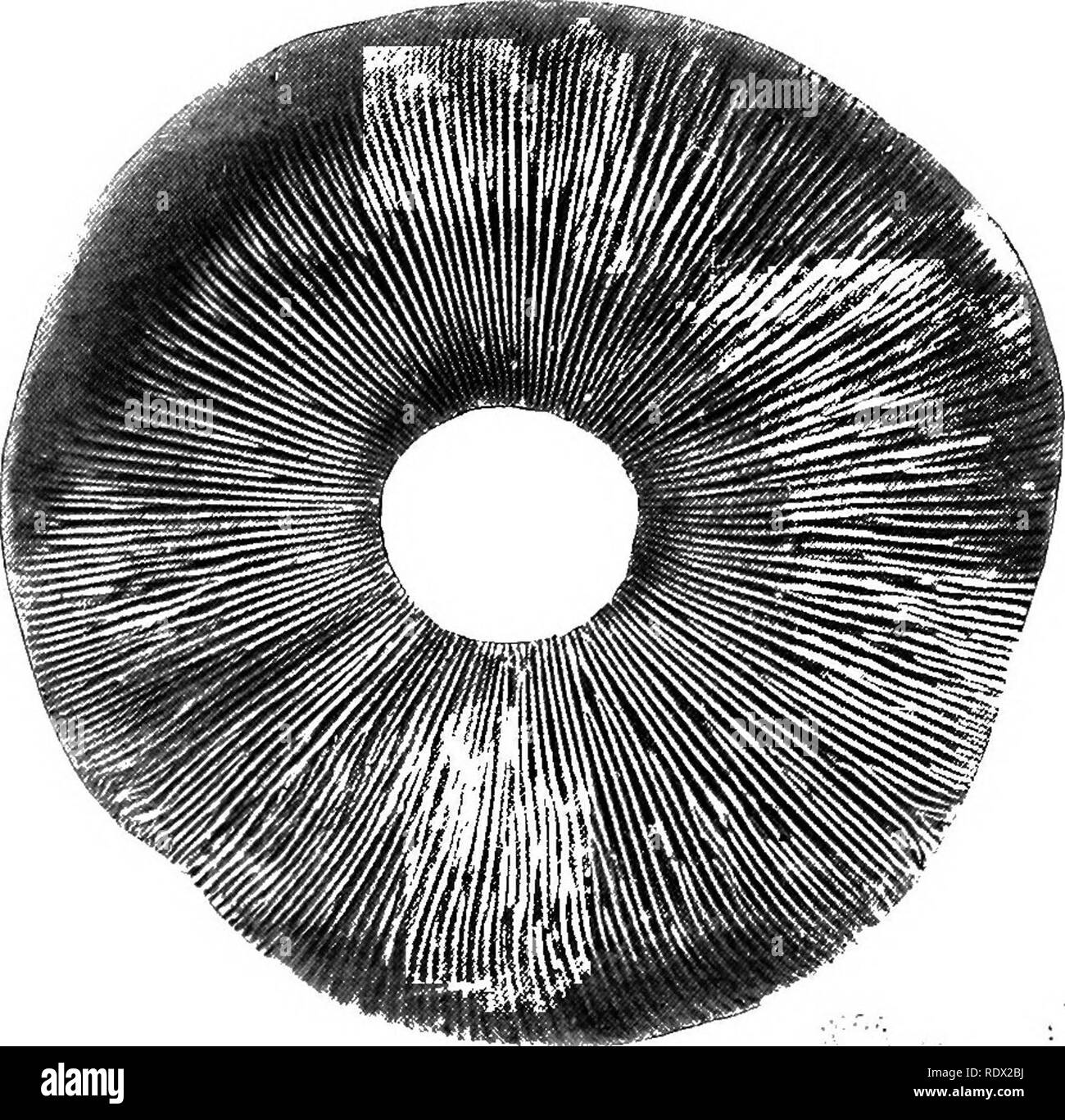 Cloud shaped note hi-res stock photography and images - Alamy